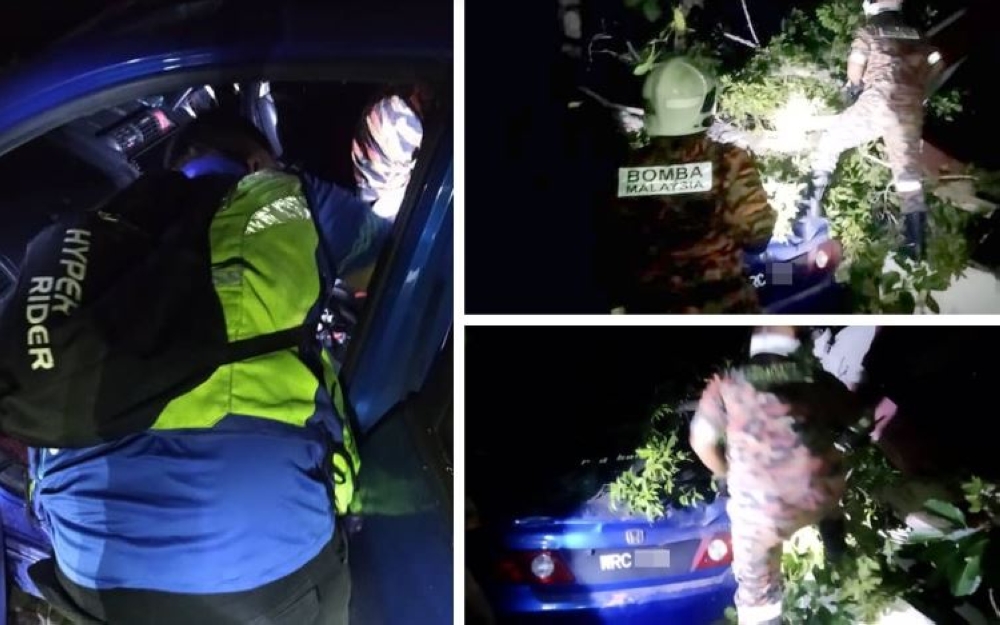 Woman hit on head by falling tree branch in Pantai Remis; vehicle ...