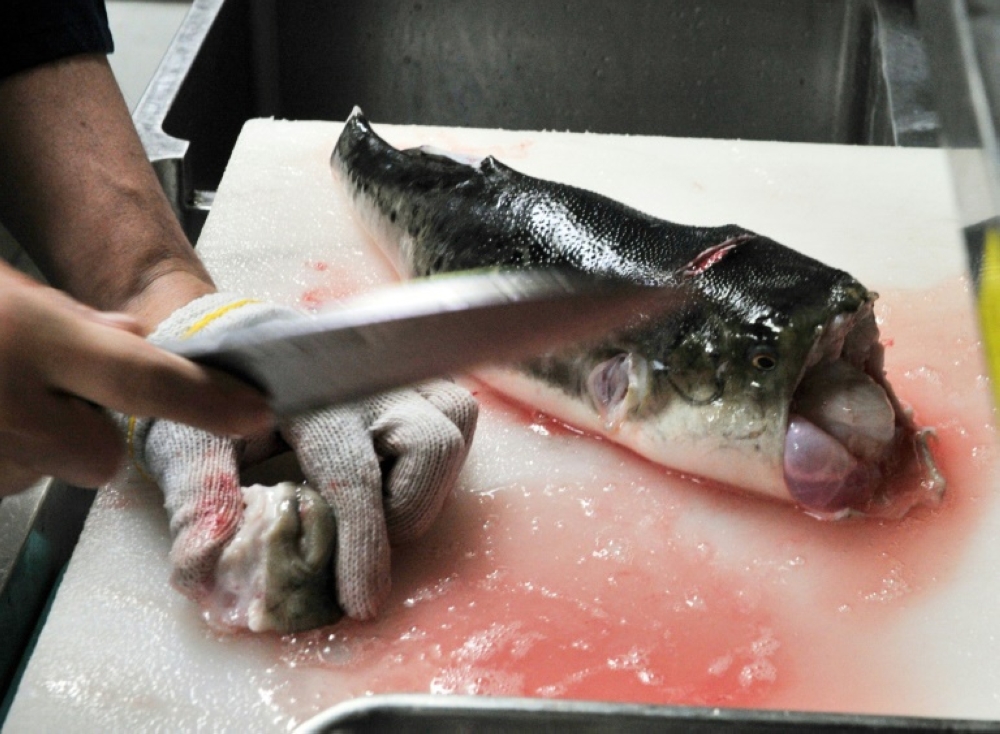 how to cook fugu