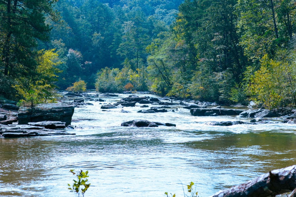Do not overlook water scarcity crisis — Sarah Abdul Razak | Malay Mail