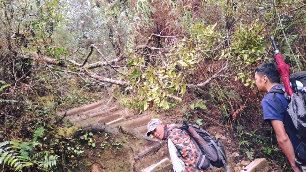 Mount Kinabalu hikers urged to beware of falling trees, landslide ...