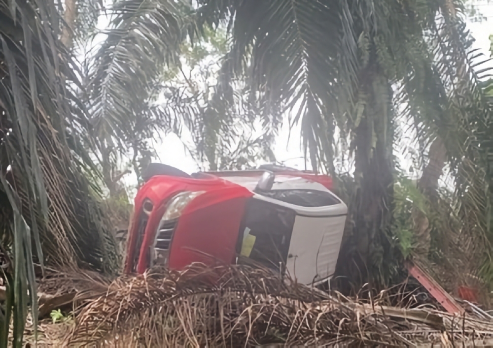 Sabah Electricity staff injured when fleeing from angry villager ...