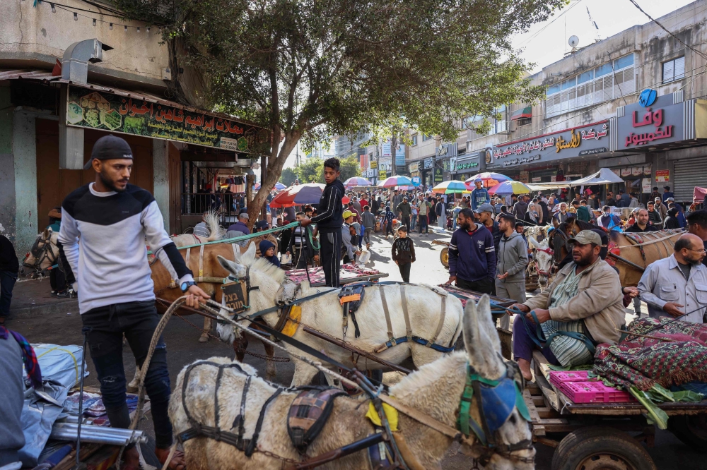 ‘More valuable than gold’: Donkeys become lifelines in war-torn Gaza as ...
