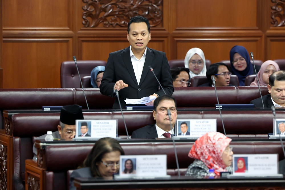 Ministry: Two companies ordered to stop mining activities in Gua Musang amid pollution concerns ...