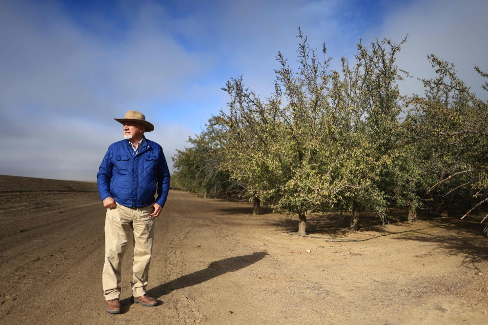 US farmers: Migrant worker shortage could trigger food supply crisis as ...