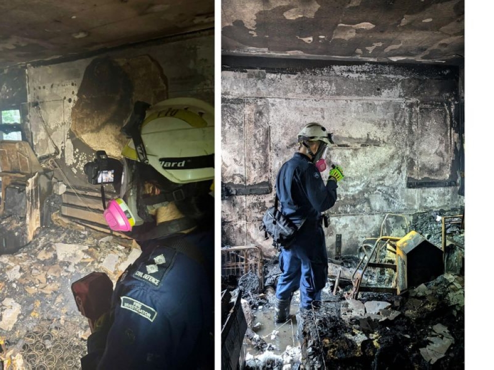 Fire in Hougang flat claim three lives but firefighters save pet cat ...
