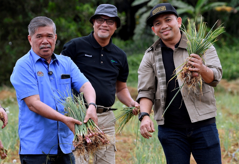 Mat Sabu: Malaysia can save around RM300m by cultivating onions ...