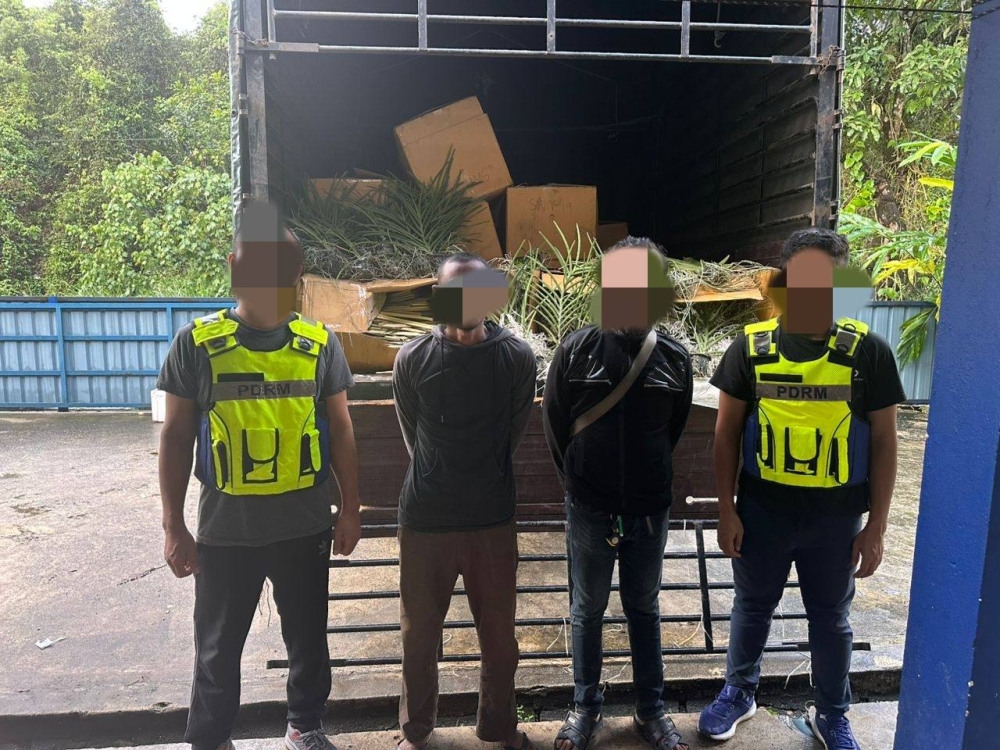 In Tanah Merah, GOF intercepts almost RM1m worth of ornamental plants ...