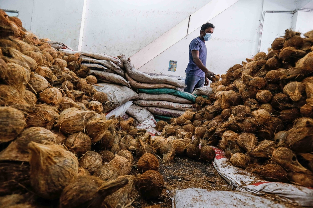 Shortage of coconuts, soaring jasmine prices hit vendors as Thaipusam ...