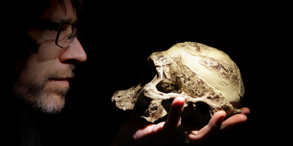 Human ancestors making ‘bone tech’ 1.5 million years ago, say ...