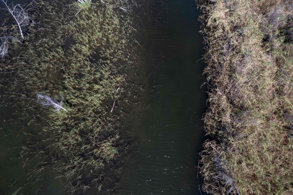 Life returns as Mexico restores wetlands drained by decades of US ...