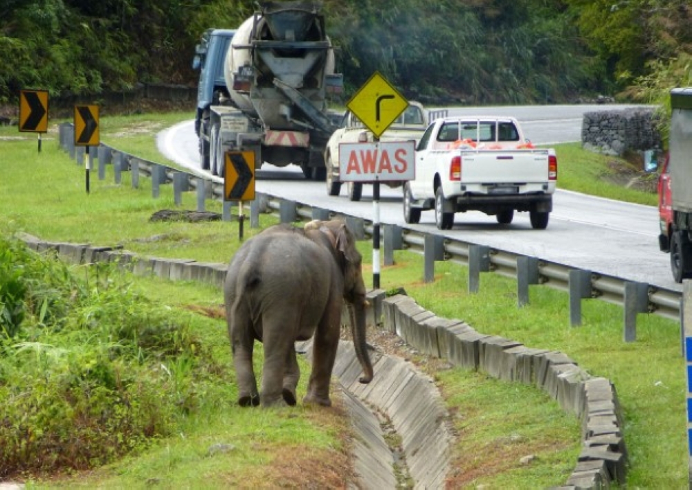 Kelantan seeks federal help to boost safety on Gerik–Jeli stretch of ...