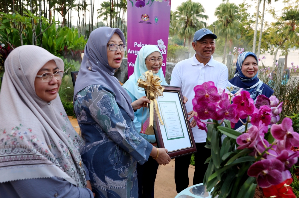 Federal territories minister: Putrajaya monorail bridge to be ...