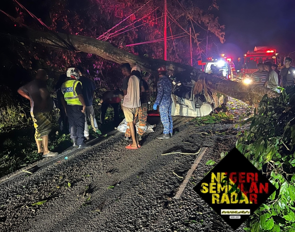 Religious officer killed as tree crushes Perodua Viva in Kuala Pilah | Malay Mail