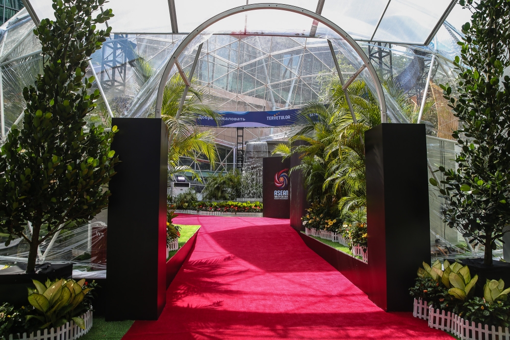 The little dome that could: Inside the enclosed ‘rainforest’ welcoming ...