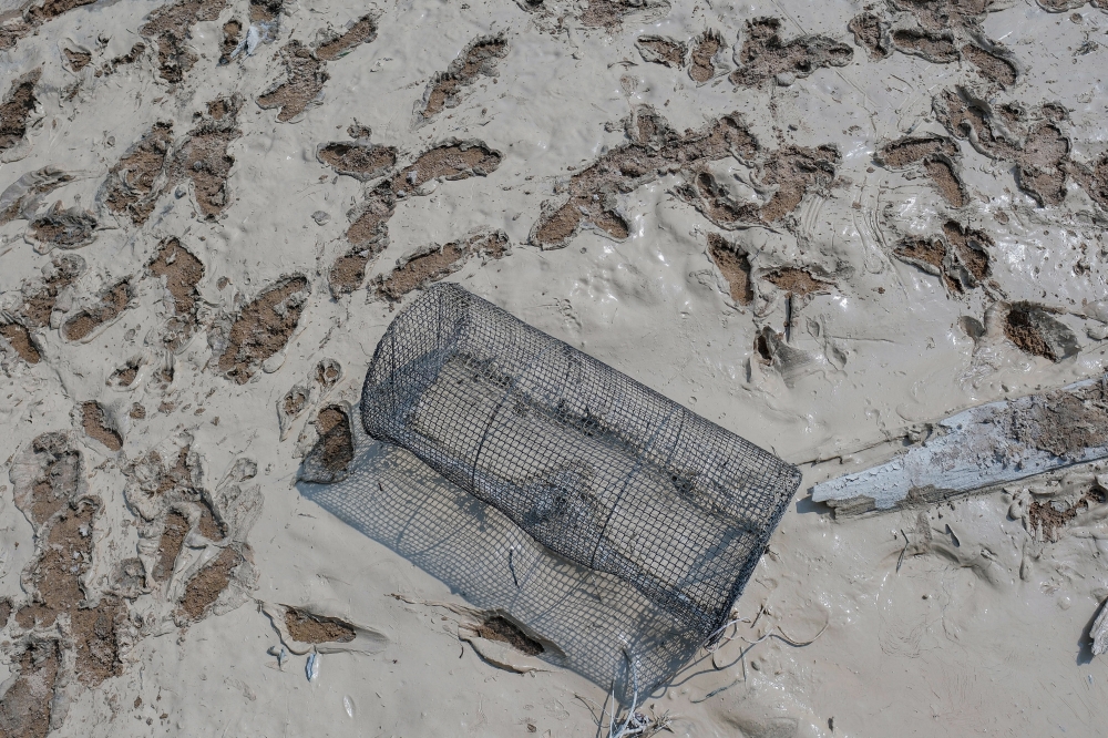 Singapore shuts down water plant at Johor river as pollution, dead fish ...