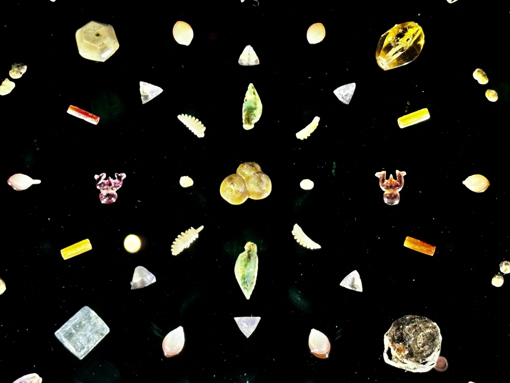 Sacred gems linked to the Buddha return to India after a century in ...