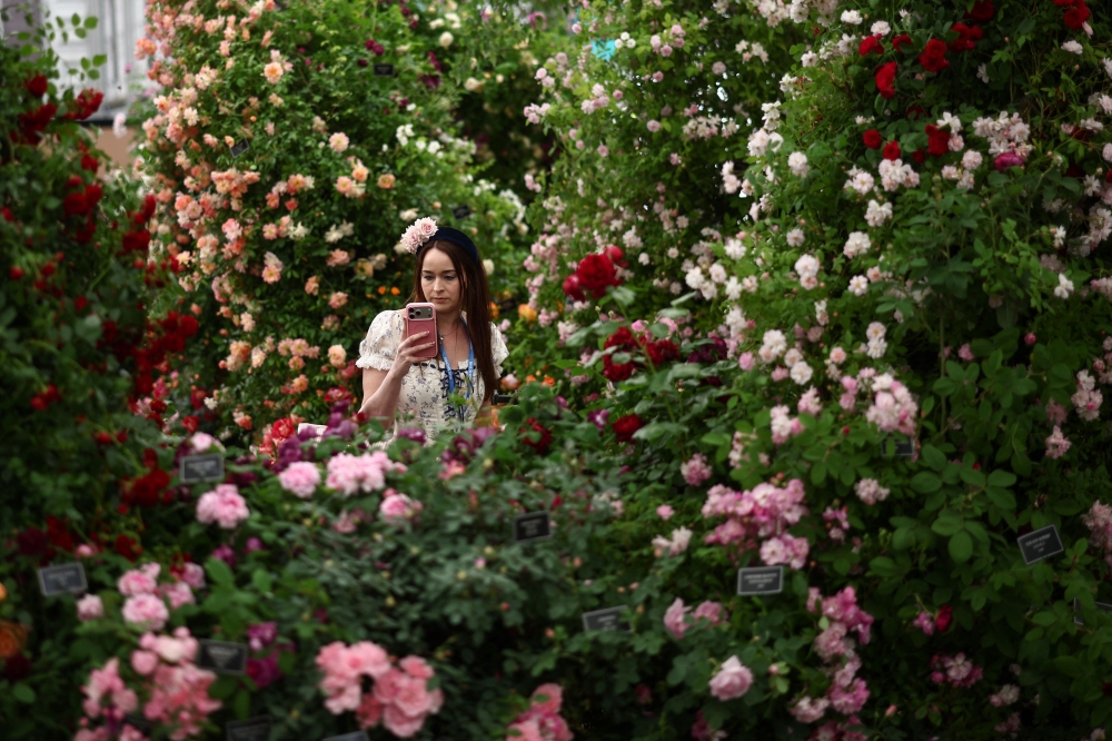 Love, lust and gnomes as top UK flower show bursts into bloom | Malay Mail