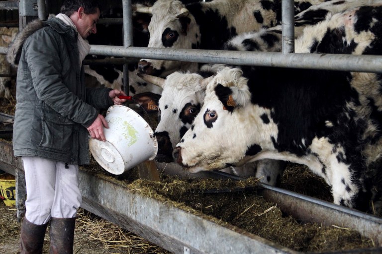 Drought sends California cattle packing — to Texas | Malay Mail