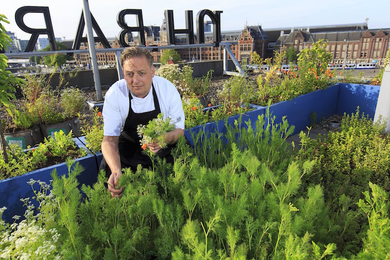 Dutch farm technology means fresh produce for Michelin-starred ...