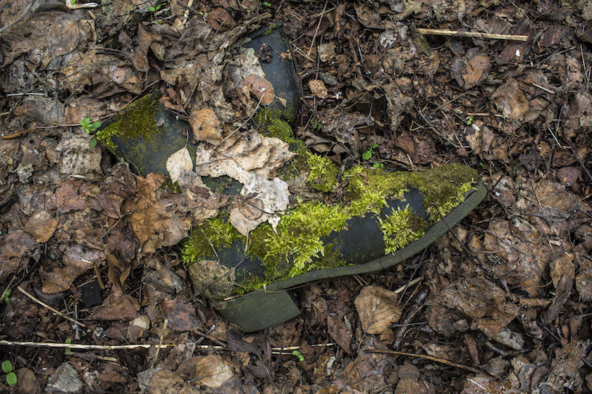 Chernobyl’s silent exclusion zone (except for logging) | Malay Mail
