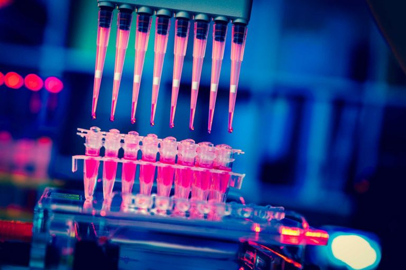 Malaysia brings home gold from International Nanotechnology Olympiad ...