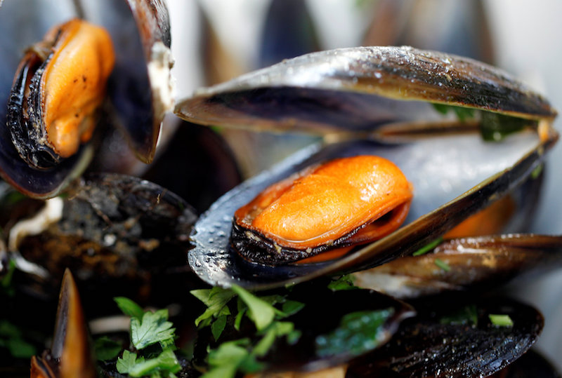 EU, US agree to resume trade in mussels, clams and oysters | Malay Mail