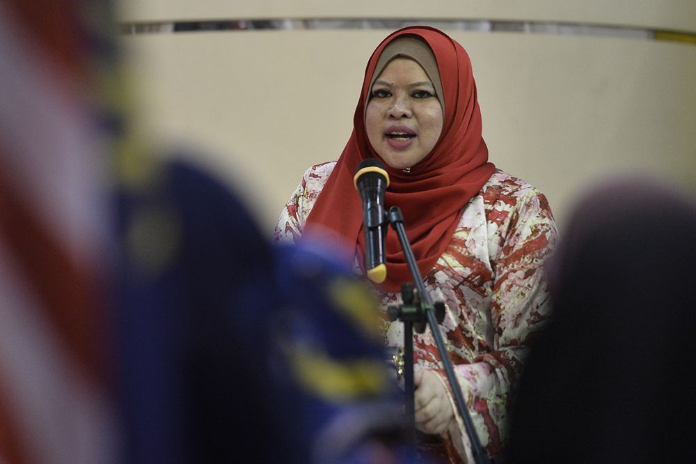 Rina Harun: Women Ministry applies for additional 1,122 child ...