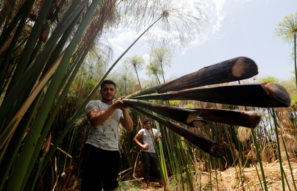 Egyptian villagers struggle to keep art of papyrus-making viable ...