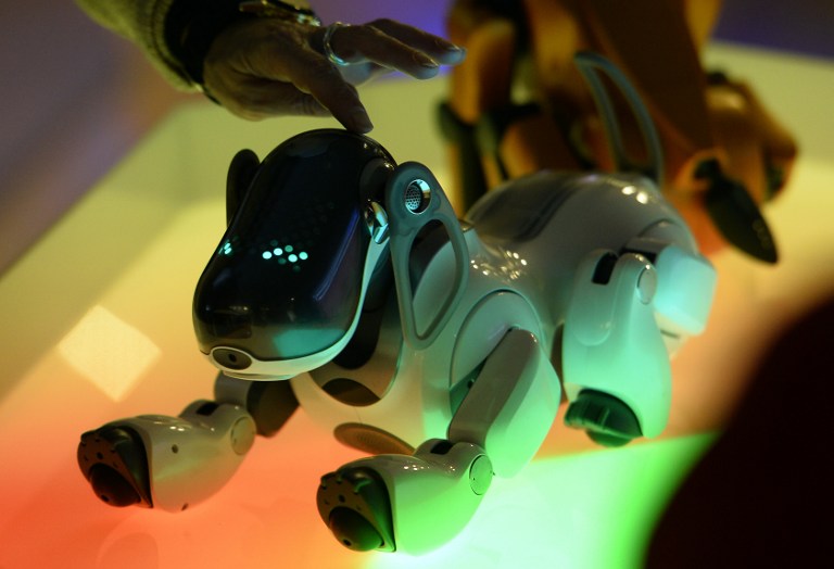 Droids dance, dogs nuzzle, humanoids speak at Madrid robot museum ...